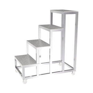 18. Cleanroom Ladder - YOUTH Clean Tech